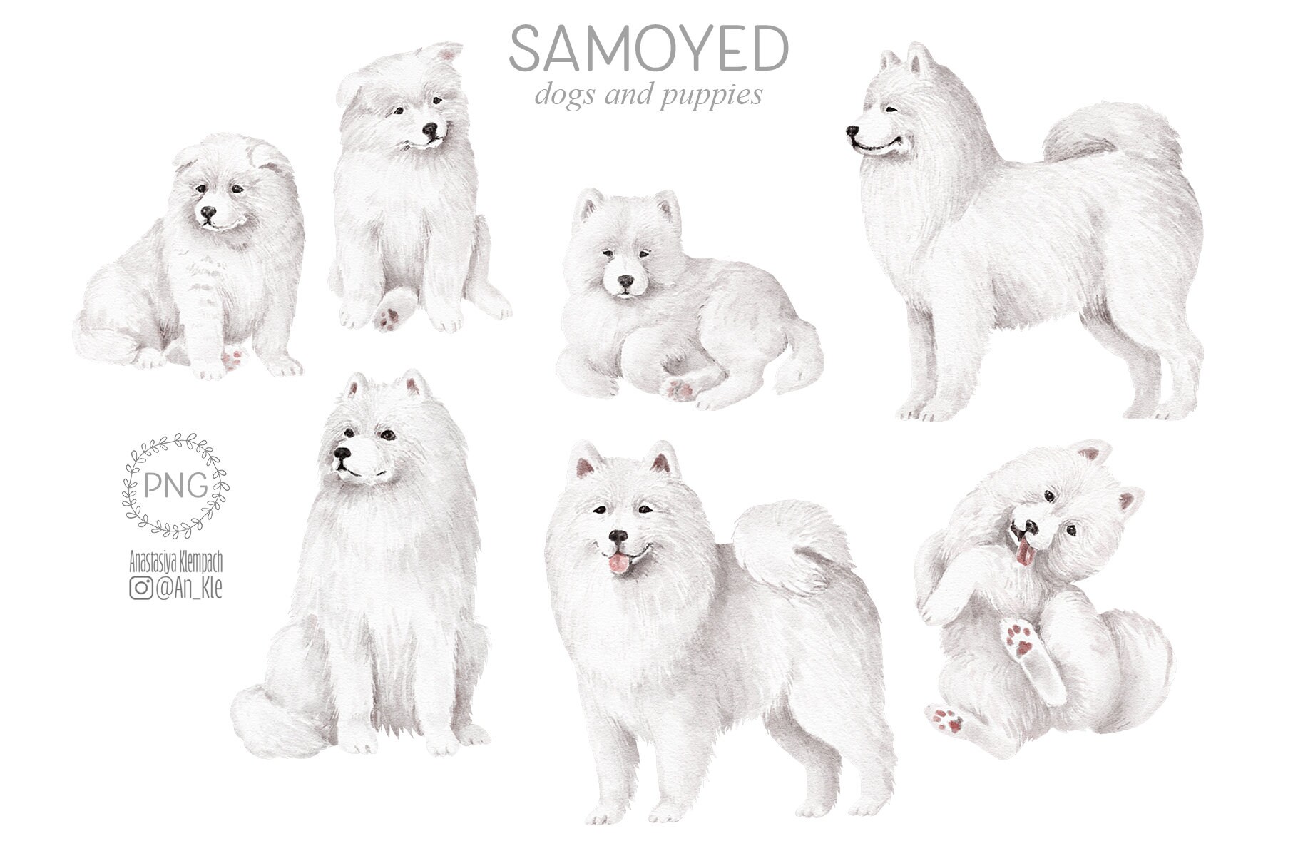 Samoyed Dogs and Puppies Hand Drawn Clipart Png Cute Samoyed - Etsy