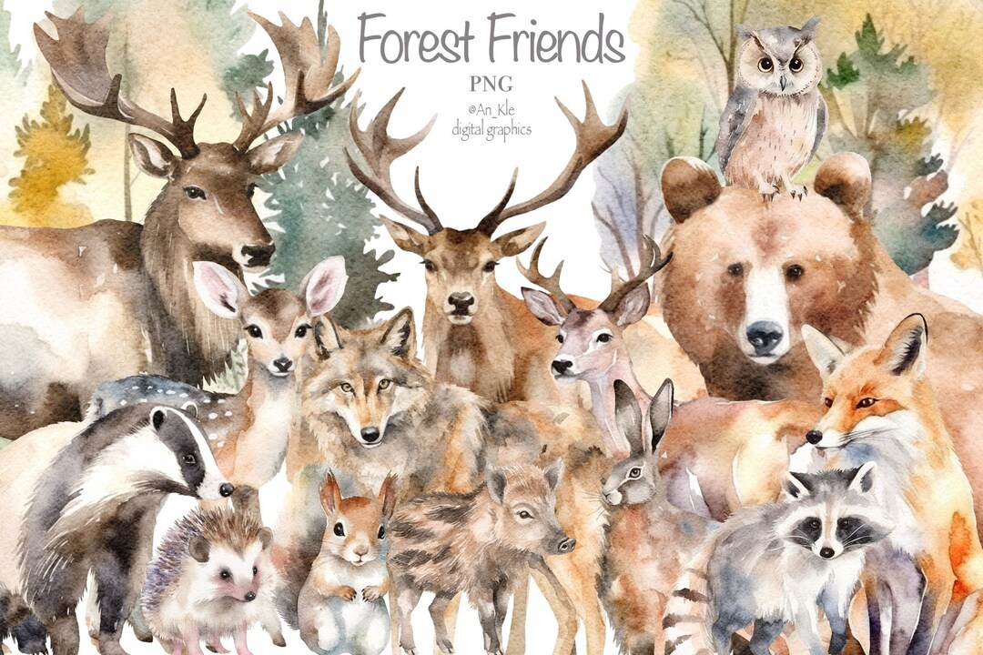 Forest Animals Clipart Bundle Png Digital Download, Watercolor Woodland ...