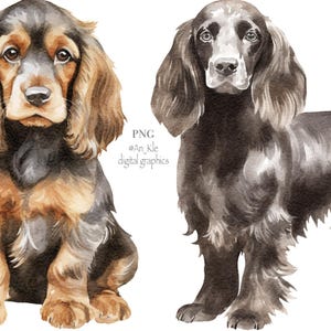 English Cocker Spaniel Dogs Clipart Set, Cocker Spaniel Dogs Group ...