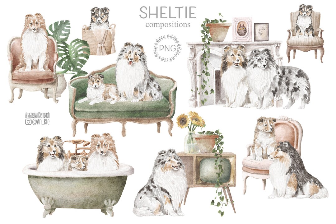 Sheltie Dogs Clipart Png Digital Download, Shetland Shepherd Dogs ...