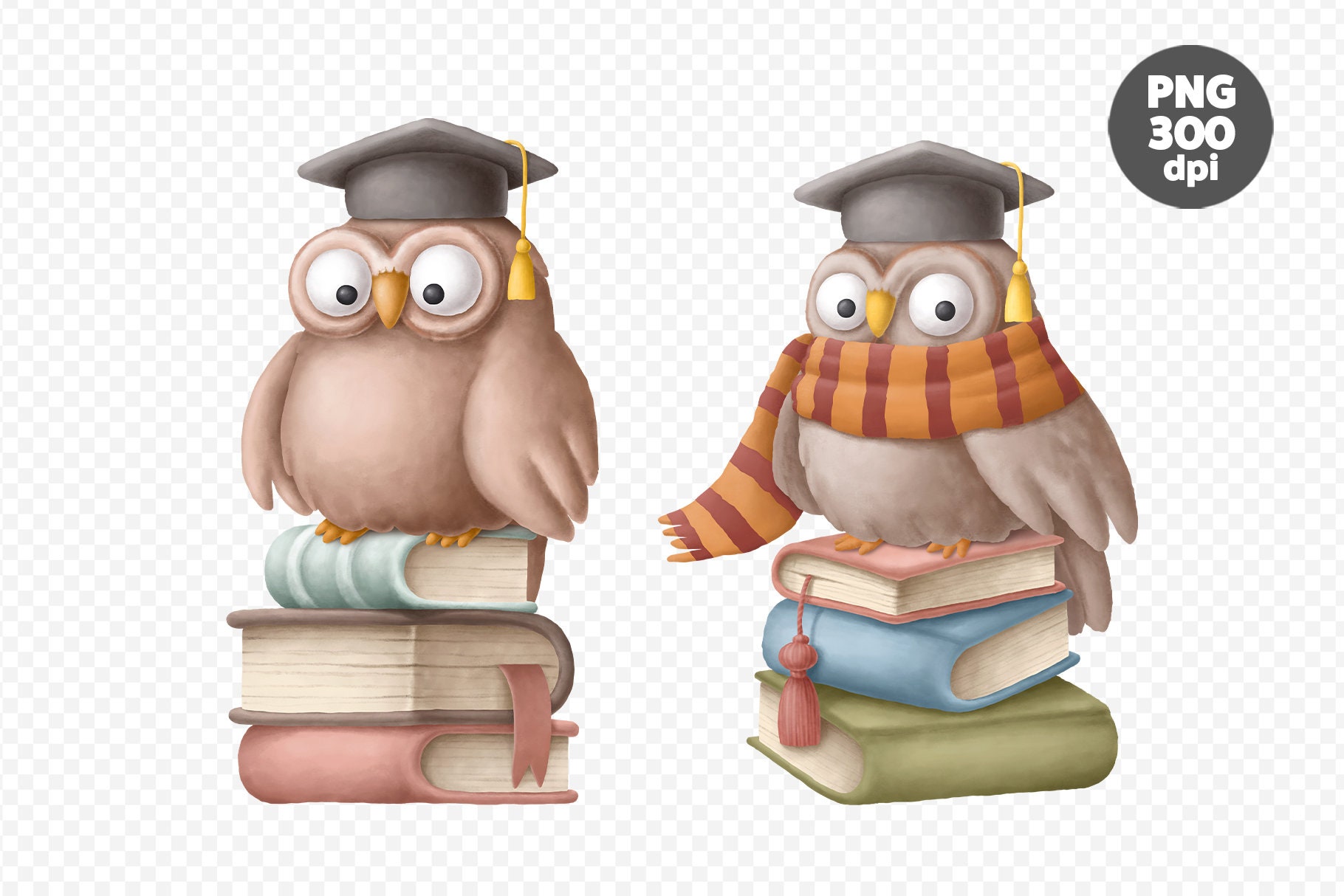 Owl Clipart Cute Owls With Books Png Digital Download - Etsy Canada