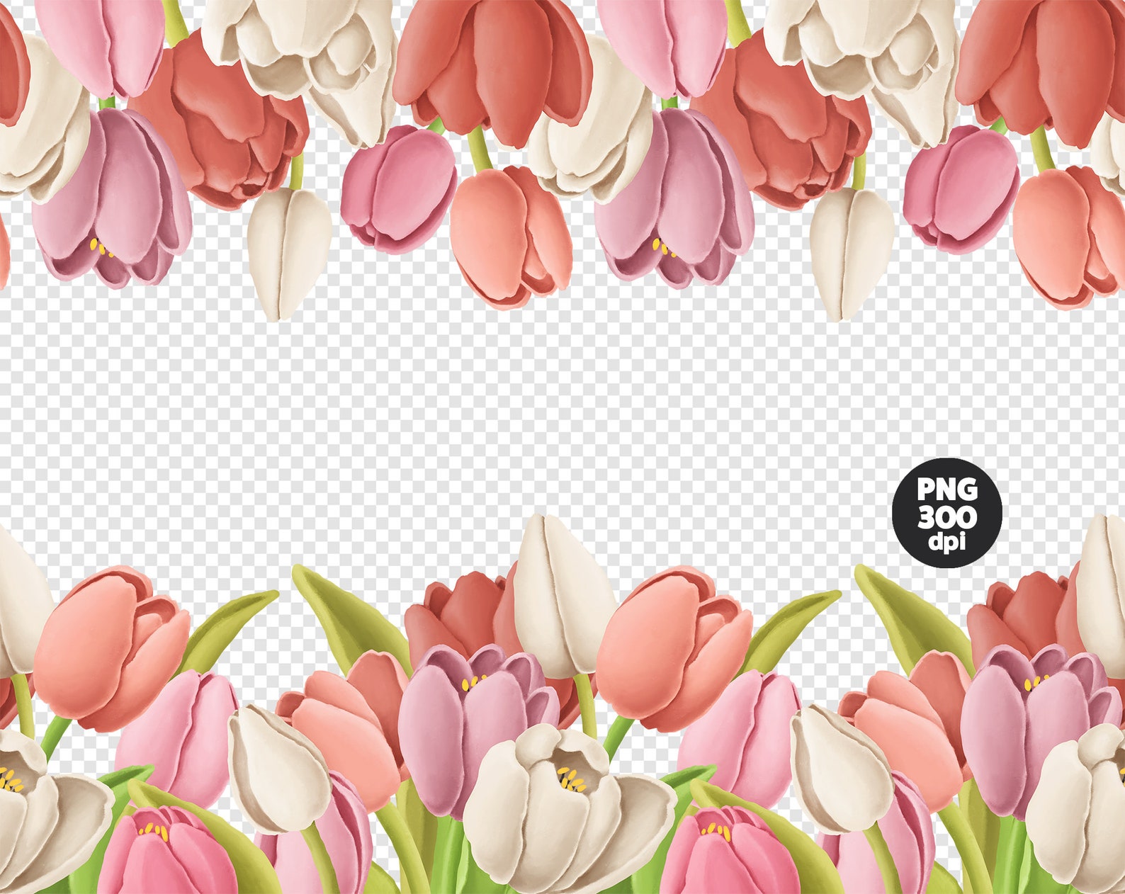 Tulip Frames and Borders Png Digital Graphics Red Tulip - Etsy