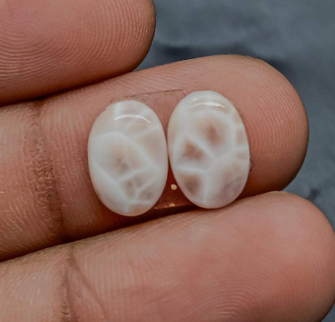 AAA+ Pink Larimar Pair Gemstone for Earrings, Oval Shape Pair Crystal ...