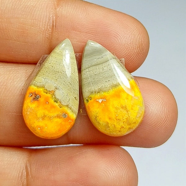 Bumble Bee Jasper - Etsy