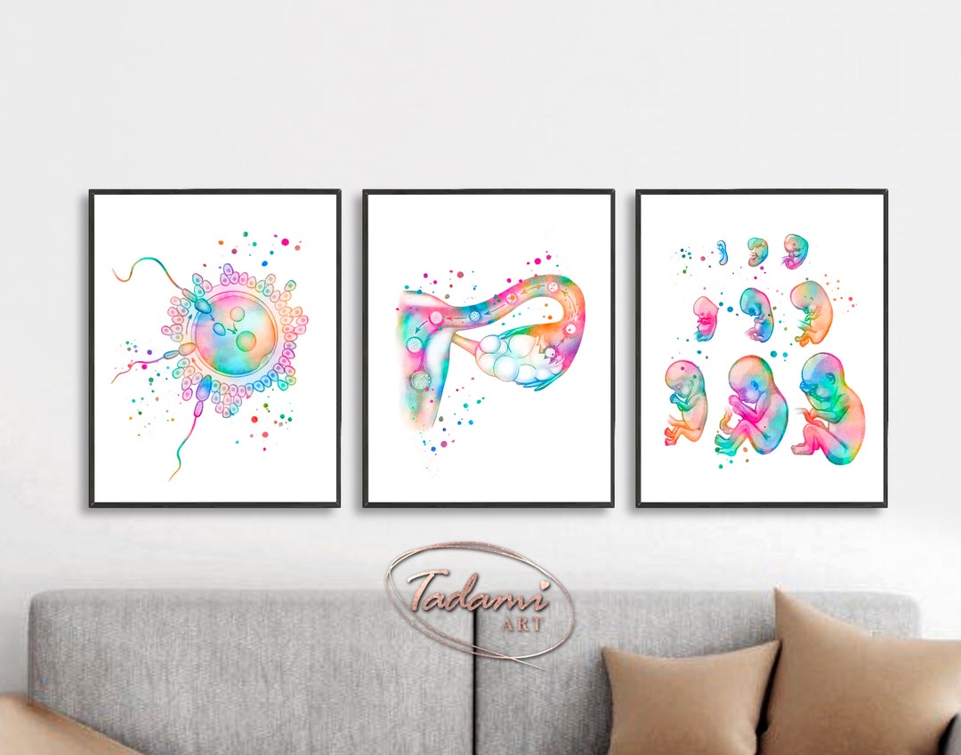 Gynecology Art Fertility Poster Obstetrics Print OBGYN Wall Art Rainbow ...