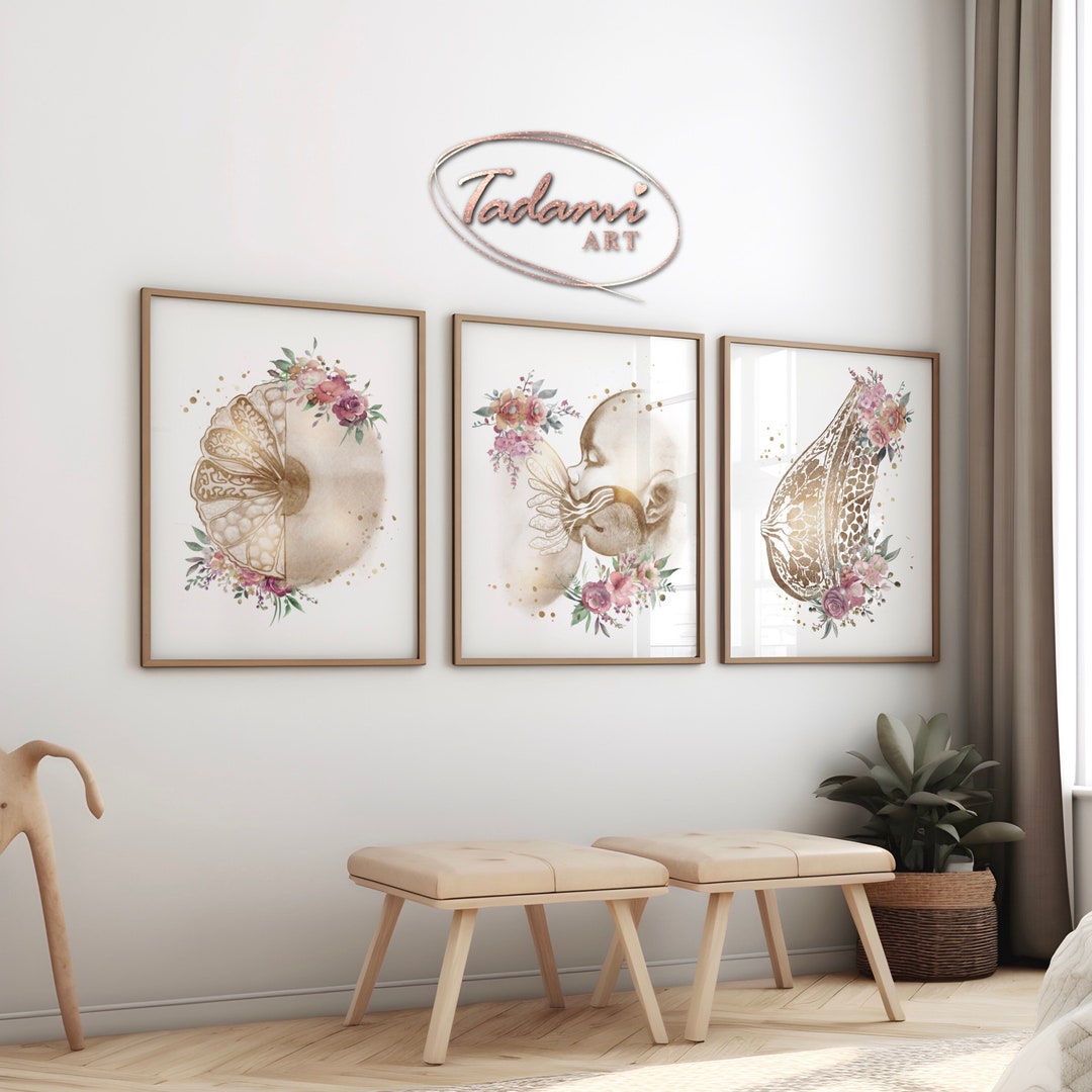 Breastfeeding Art, Mammary Wall Art, Breast Anatomy, Mammary Gland ...