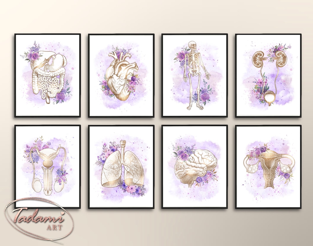 Anatomy Poster, Clinic Decor, Family Doctor Gift, Medical Art, Brain ...