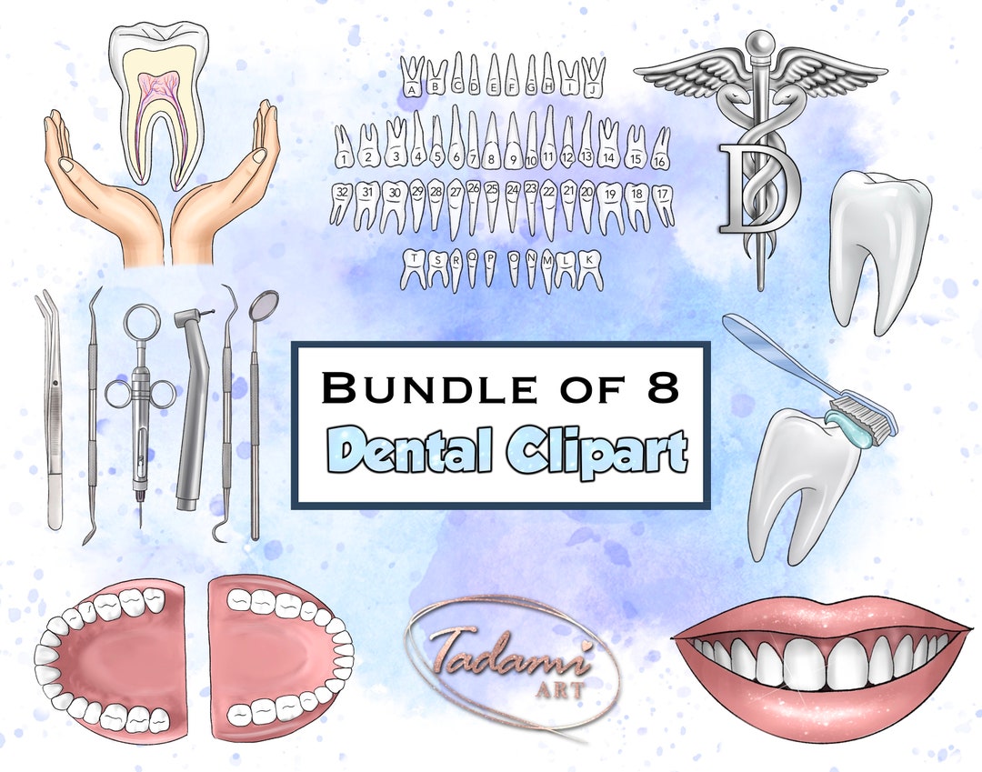 8 Dental Clipart, Dental PNG, Anatomy Clipart, Tooth PNG, Dentist ...