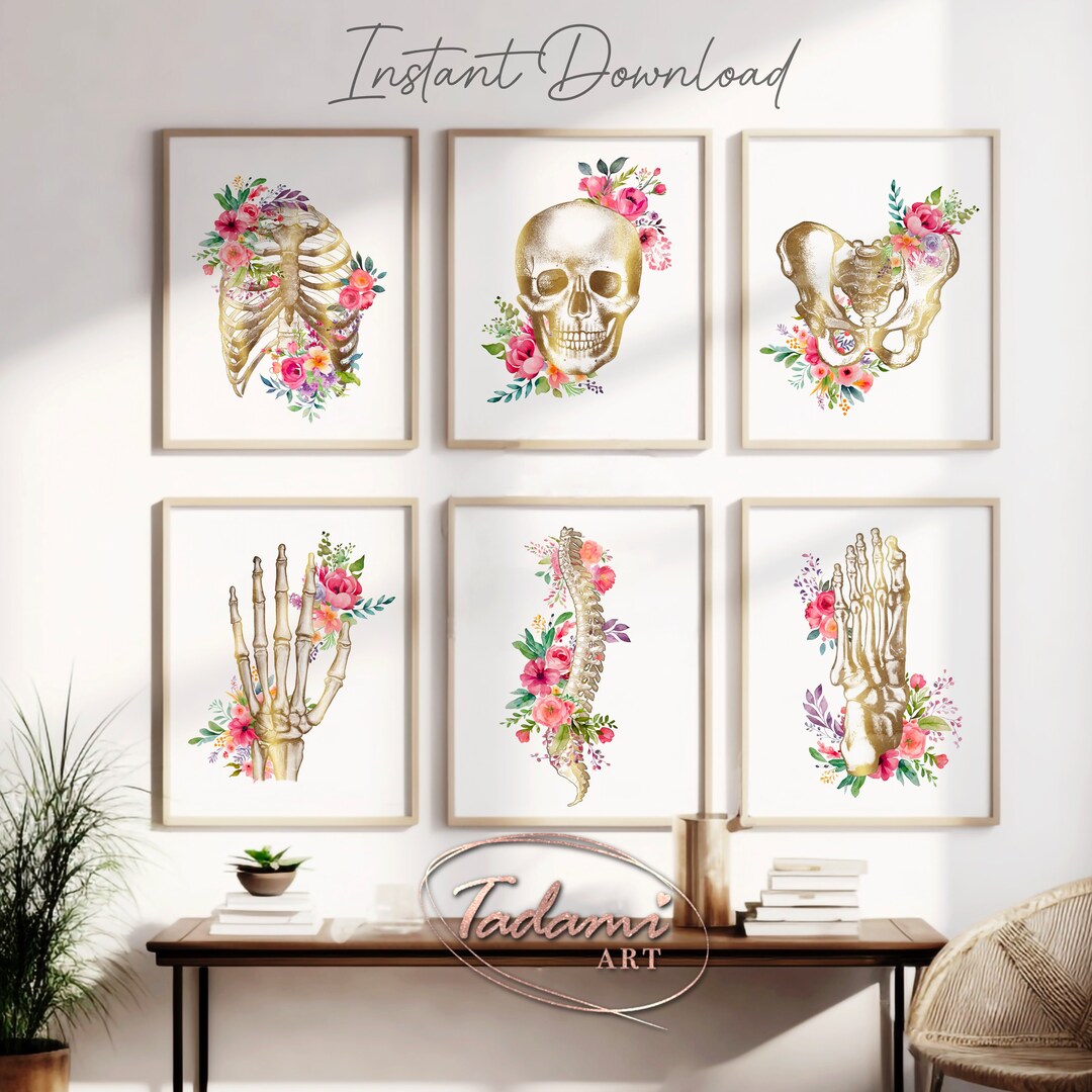 Orthopedic Art, Chiropractic Poster, Human Bones Anatomy, Spine Poster ...