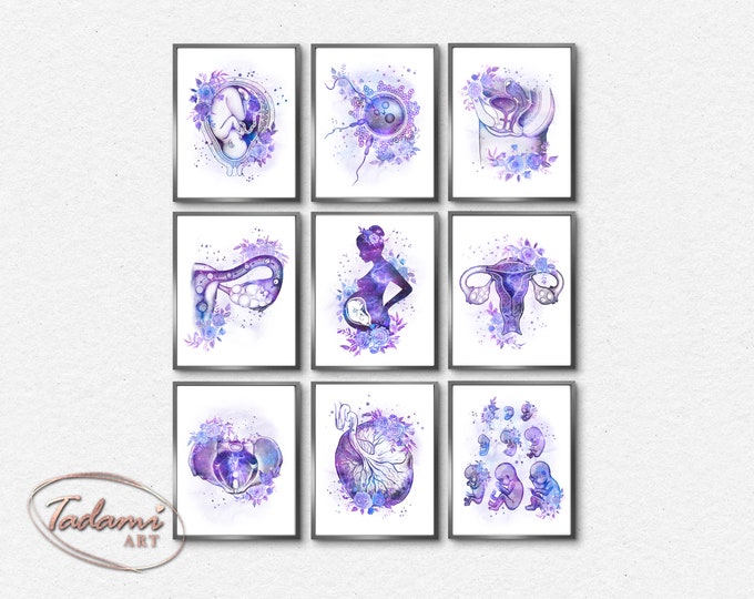 OBGYN Wall Art, Gynecology Poster, Gynecologist Gift, Obstetrics Print ...