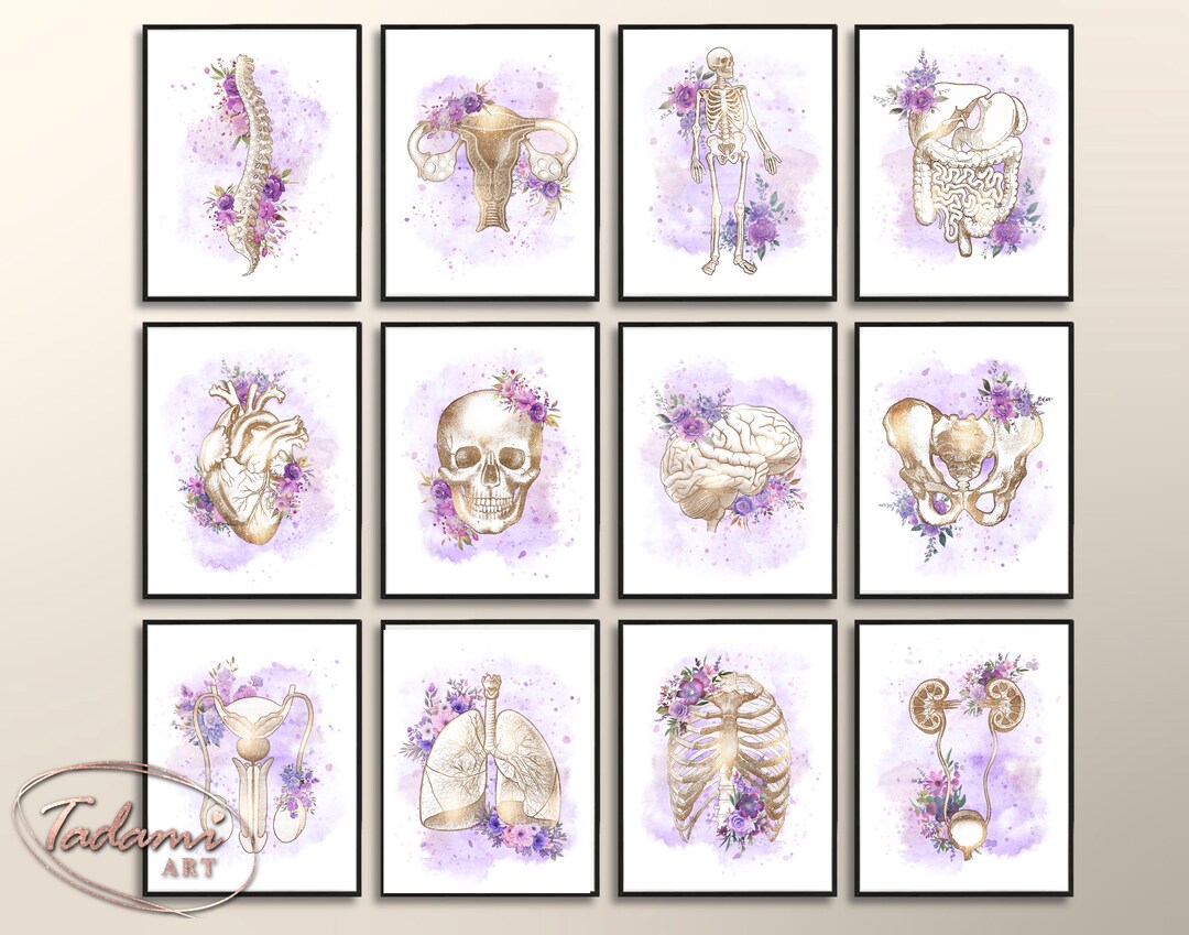 Medical Wall Art, Anatomy Poster, Family Doctor Gift, Clinic Decor ...