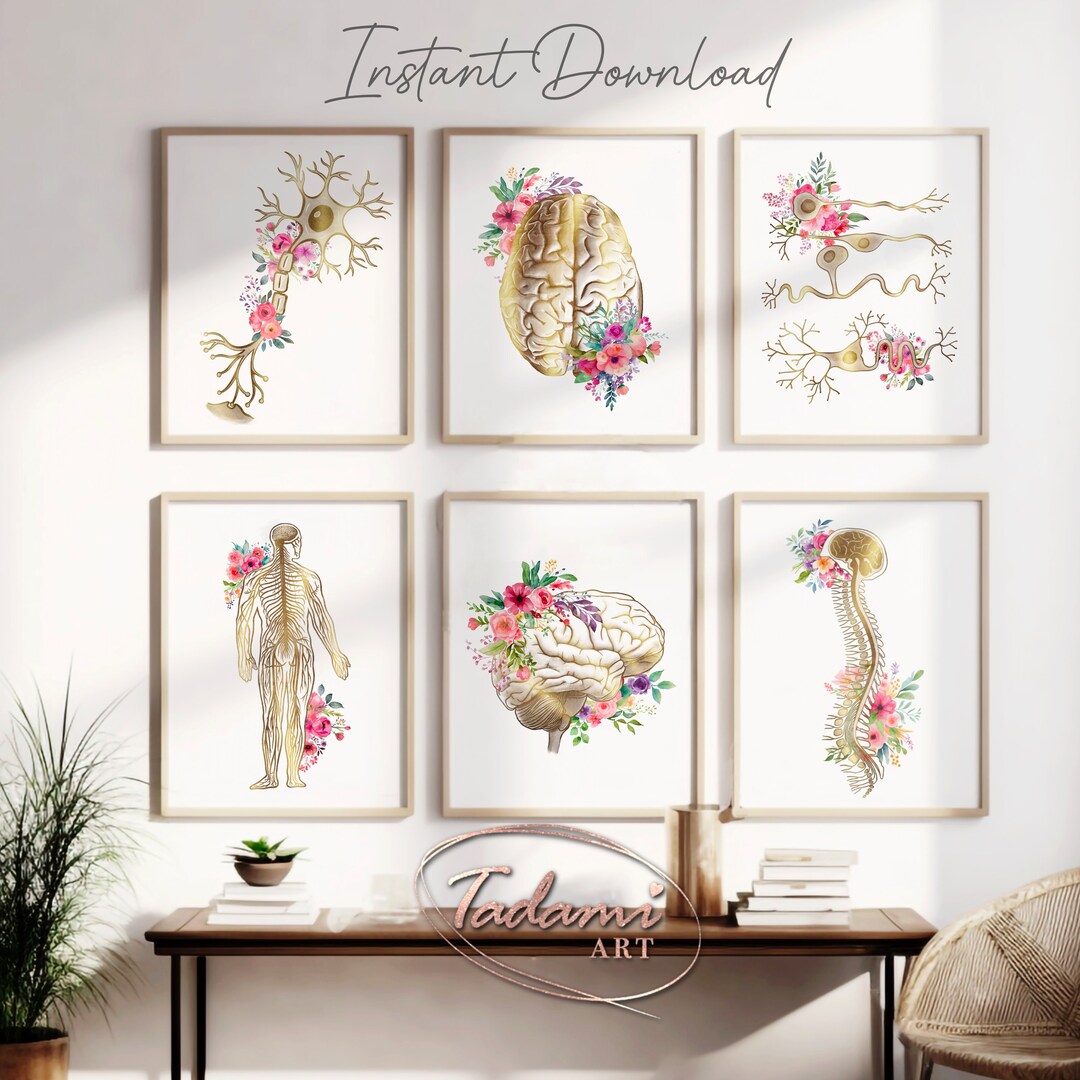 Brain Anatomy Poster, Neurologist Gift, Neurology Art, Medical Art ...