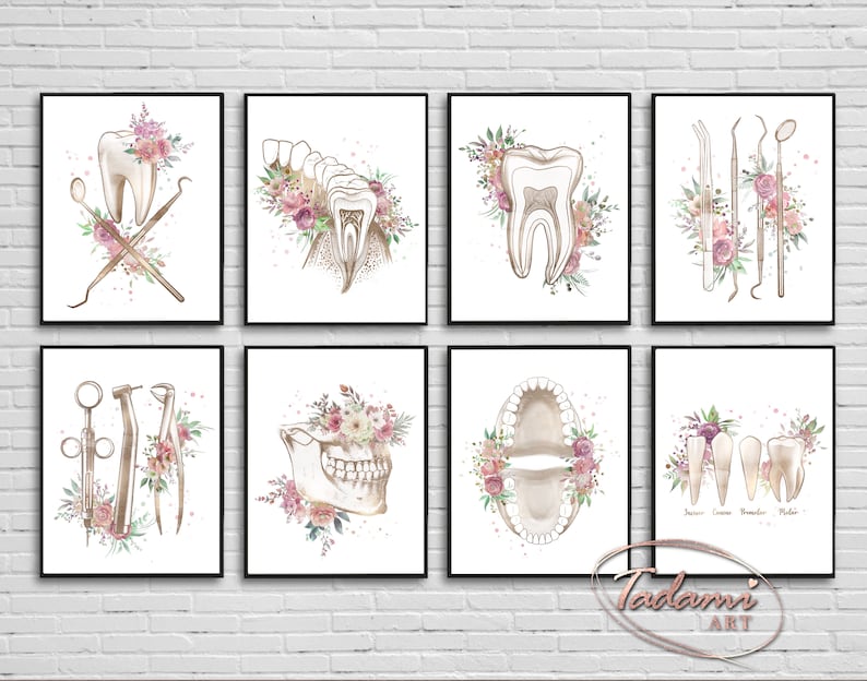 8 Dentist Poster Watercolor Dental Artwork Tooth Anatomy - Etsy