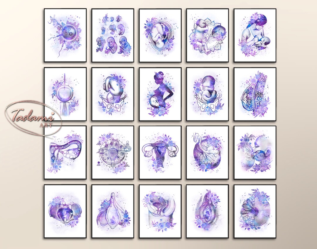 Obgyn Wall Art Gynecology Poster Female Anatomy Art Gynecologist