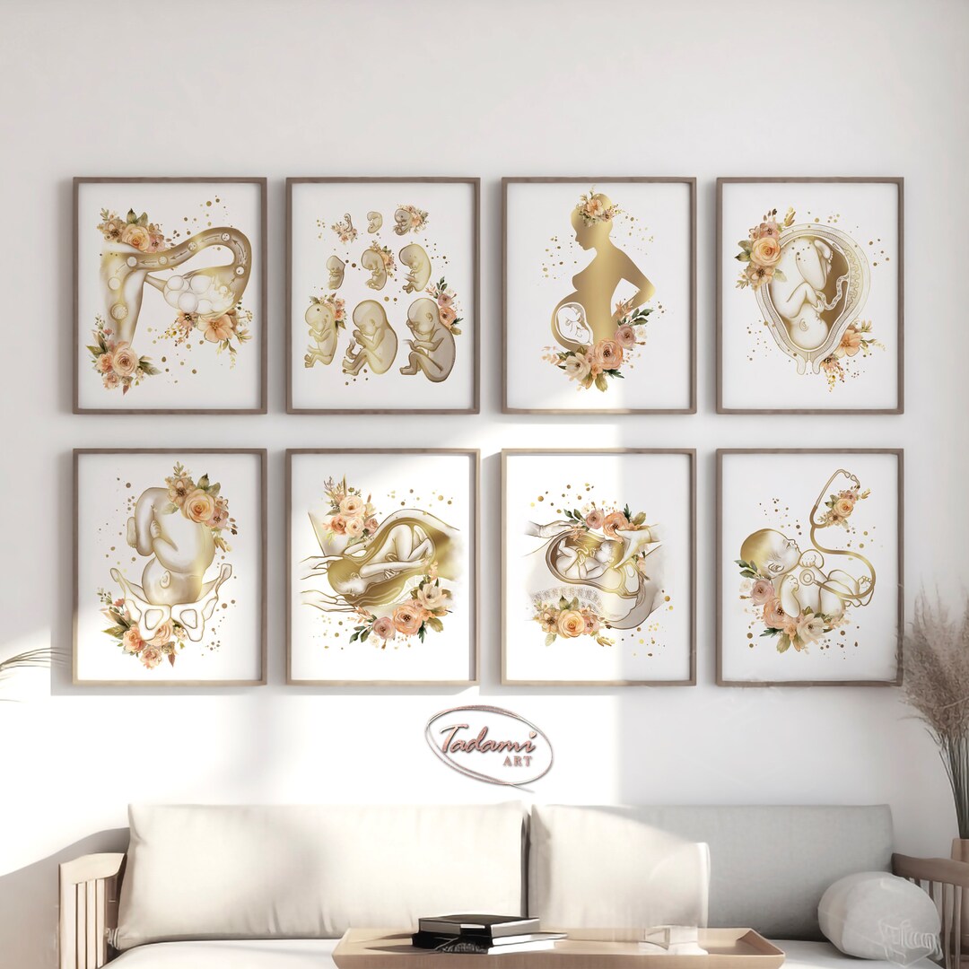 OBGYN Poster, Midwife Gift, Fertility Art, Fetus Stages Art, C-section ...