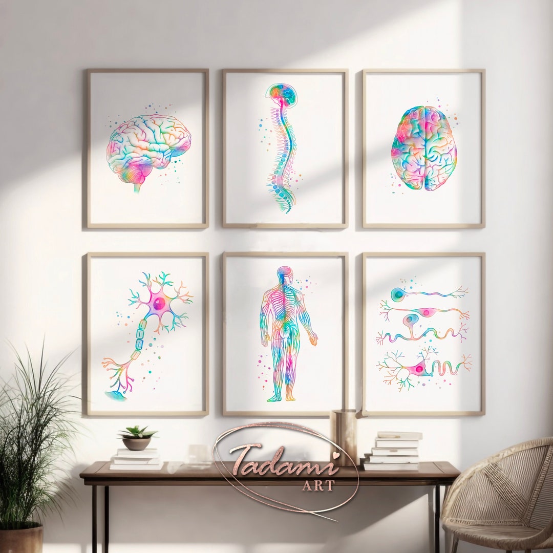 Neurology Wall Art, Brain Anatomy Print, Nervous System Art, Neuron ...