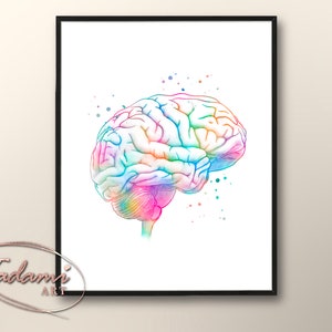 Neurological Art Brain Anatomy Print Nervous System Art - Etsy