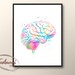 Neurological Art Brain Anatomy Print Nervous System Art - Etsy