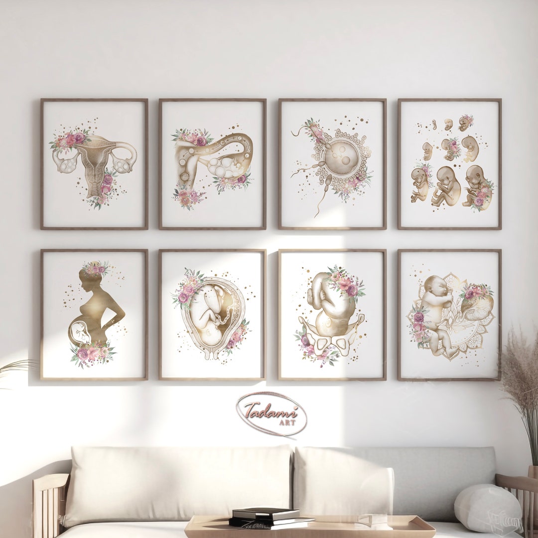 Pregnancy Wall Art, Gynecology Poster, Female Anatomy Art, OBGYN Poster ...