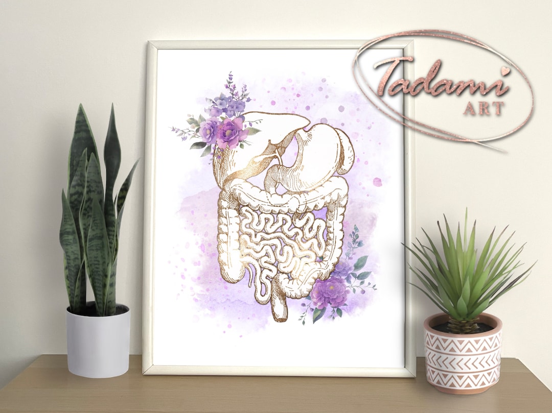 Digestive System Poster Watercolor Medical Print Stomach Floral Art ...
