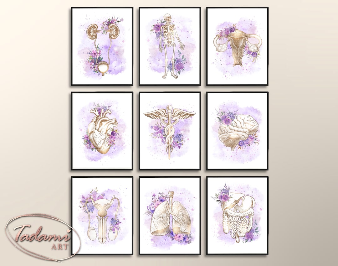 Anatomy Posters, Medical Wall Art, Family Doctor Gift, Clinic Decor ...