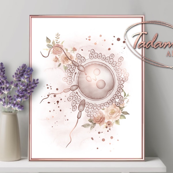 Fertility Art - Etsy Australia