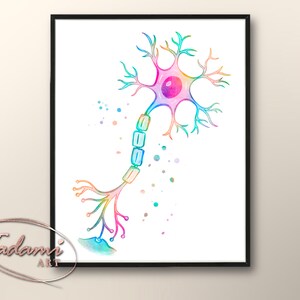 Brain Anatomy Poster, Neurological Wall Art, Neurologist Gift, Neuron ...