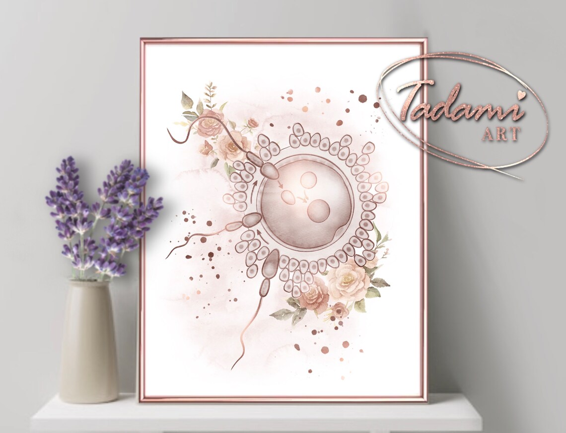 Gynecology Wall Art, Female Anatomy Print, Fertility Poster ...