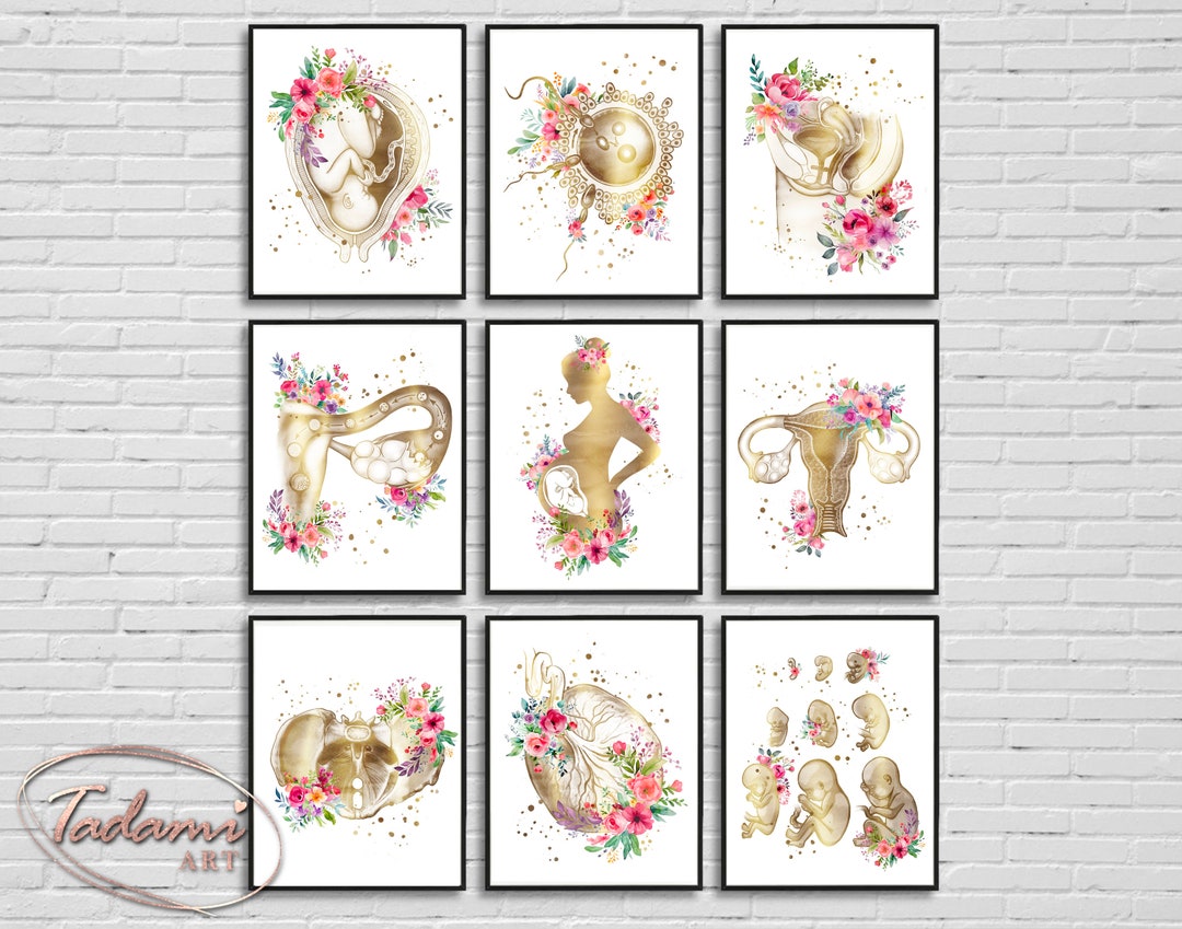 Fertility Poster Pregnant Anatomy Art Obgyn Poster Gynecology Wall