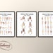 ASL Alphabet & Numbers Vintage Poster, Sign Language Classroom Decor ...