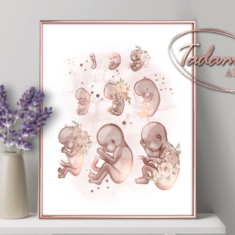Fetus Art - Etsy