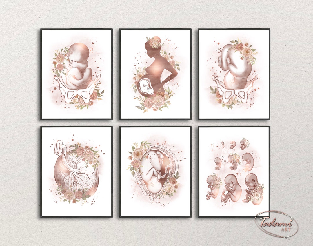 Pregnancy Anatomy Art, Obstetrics Poster, Fetal Position Art ...