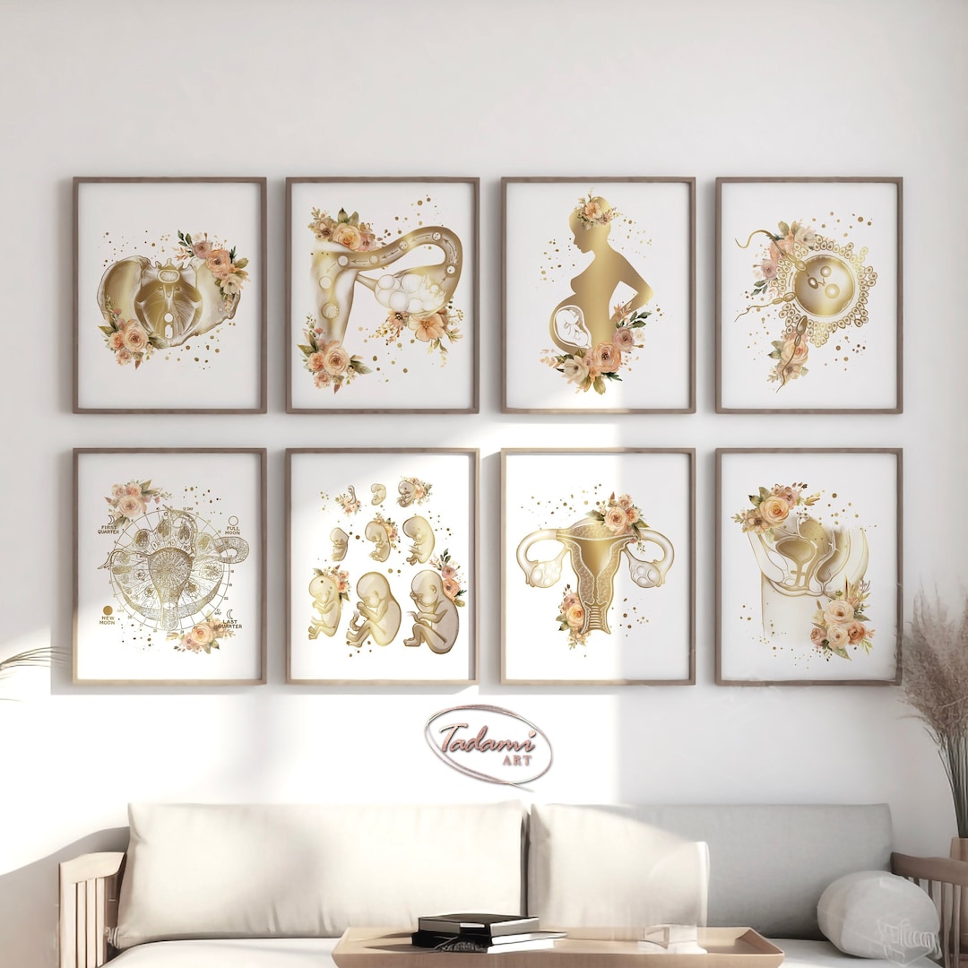 OBGYN Wall Art, Gynecology Poster, Female Anatomy Art, Pregnancy Art ...