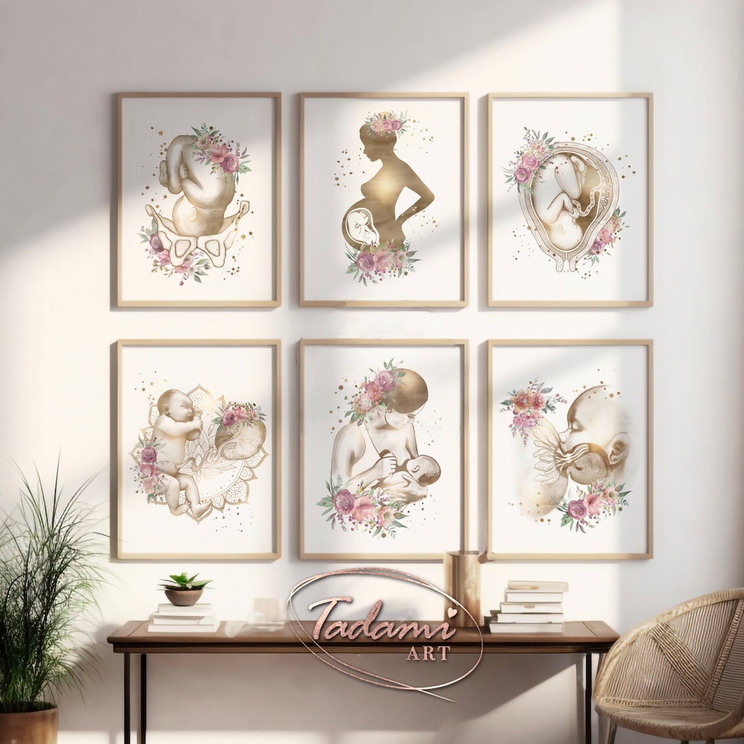Pregnancy Anatomy Art Prints, Lactation, OBGYN Decor (digital Download ...
