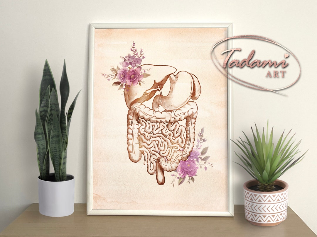 Digestive System Poster Medical Watercolor Print Intestines Vintage Art ...