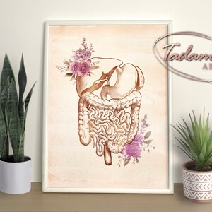 Digestive System Poster Medical Watercolor Print Intestines Vintage Art ...