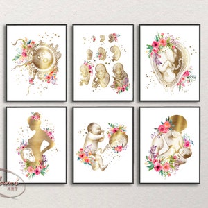Fertilization Poster, OBGYN Wall Art, Gynecologist Gift, Obstetrics ...