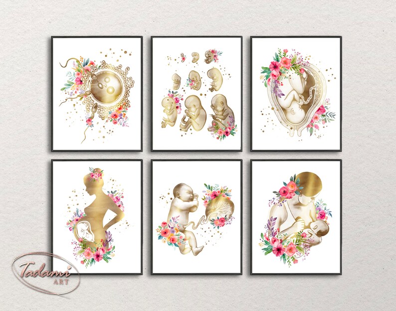 Fertilization Poster, OBGYN Wall Art, Gynecologist Gift, Obstetrics ...