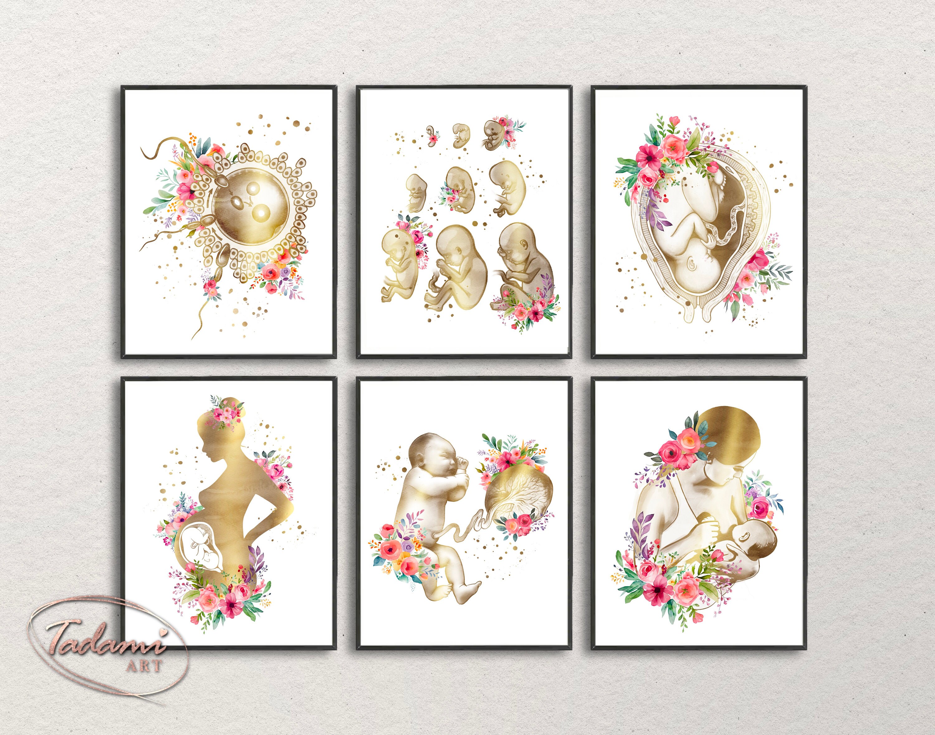 Fertilization Poster, OBGYN Wall Art, Gynecologist Gift, Obstetrics ...