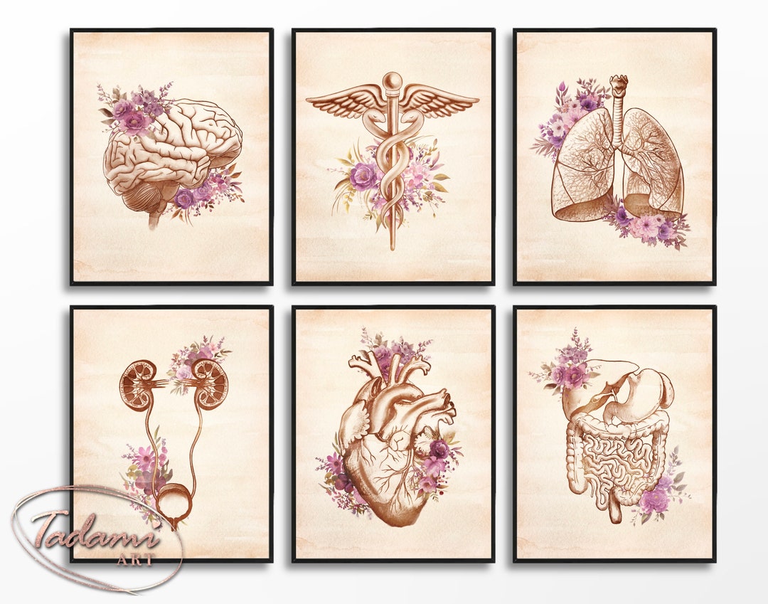 Vintage Anatomy Posters Set 6 Watercolor Medical Art Floral Medicine ...
