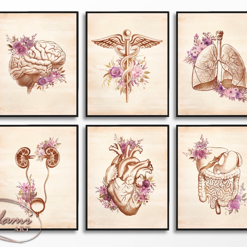 Medical Art - Etsy