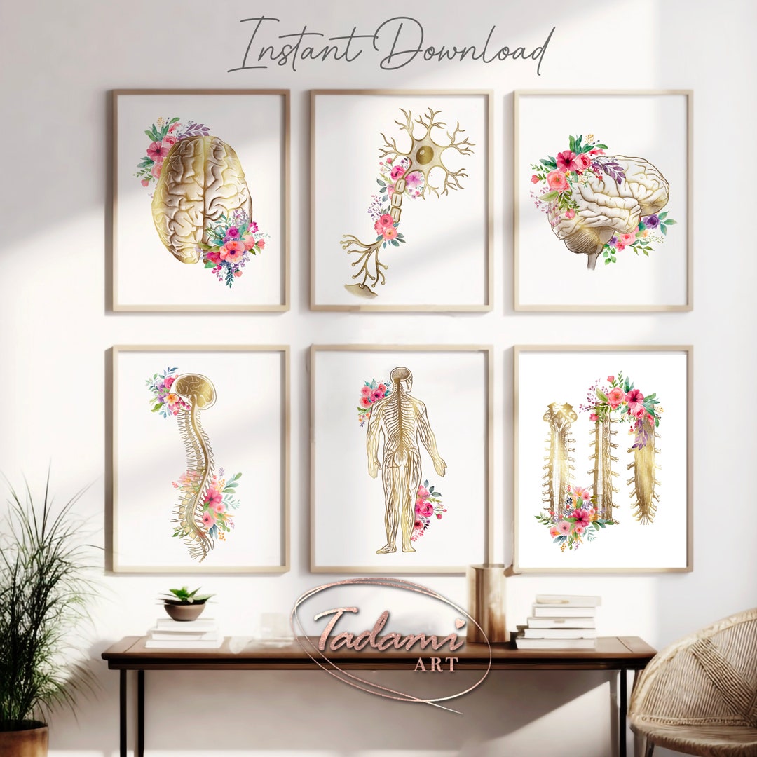 Neurological Poster, Neurologist Gift, Medical Art, Brain Anatomy Print ...