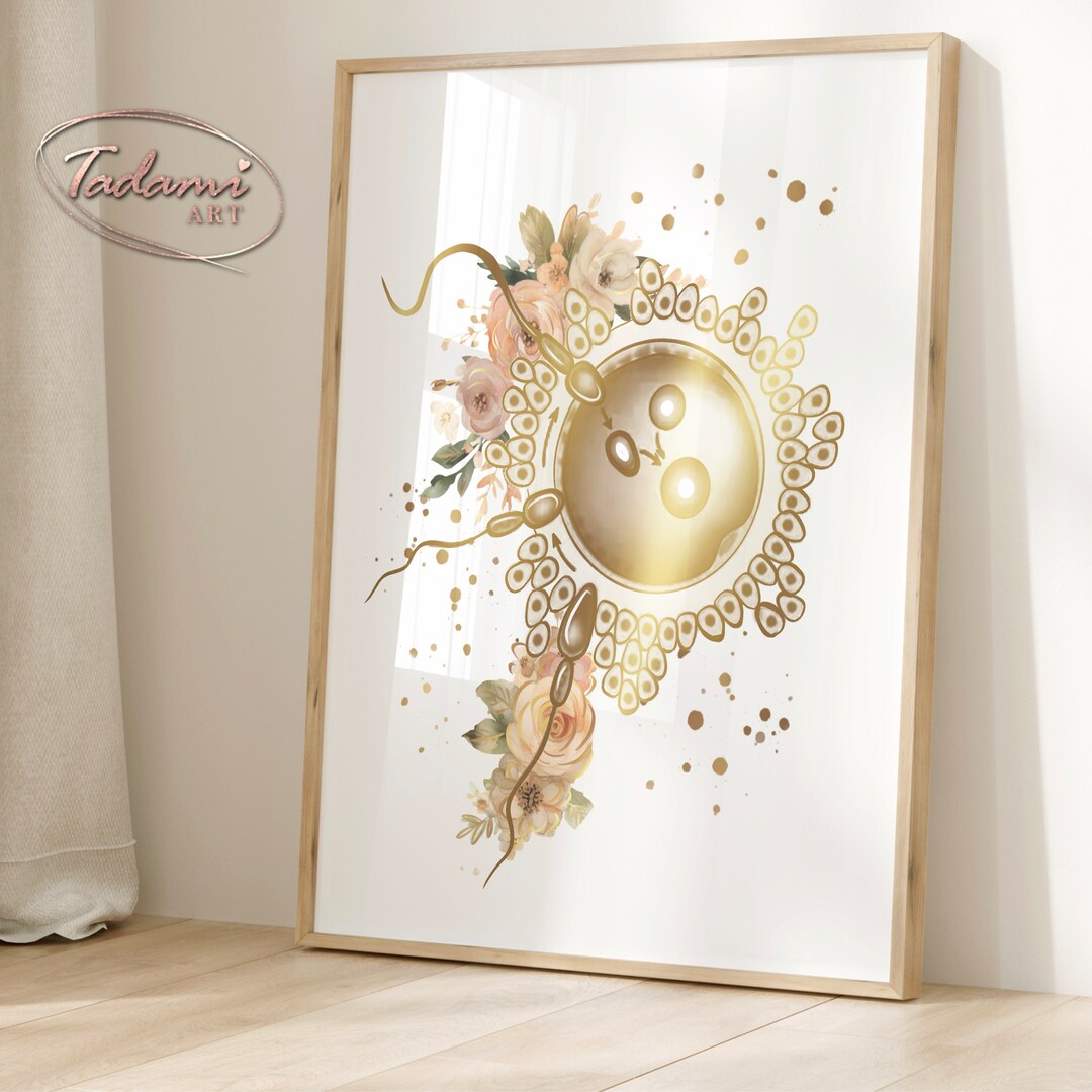 Fertility Wall Art, Gynecology Poster, Sperm and Ovum Art, Insemination ...
