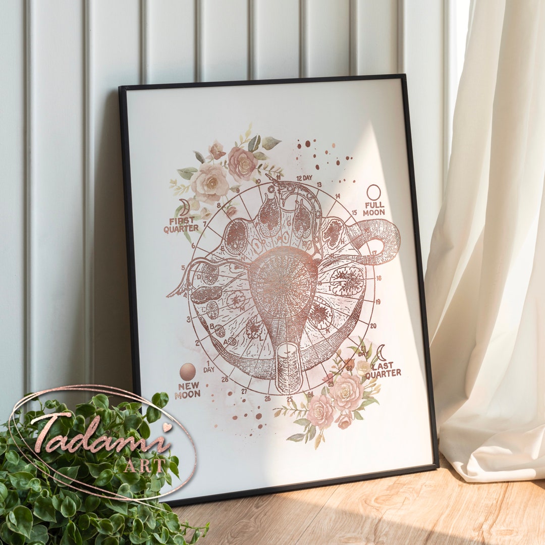 Gynecology Wall Art, Female Periods Poster, OBGYN Art, Menstrual Cycle ...