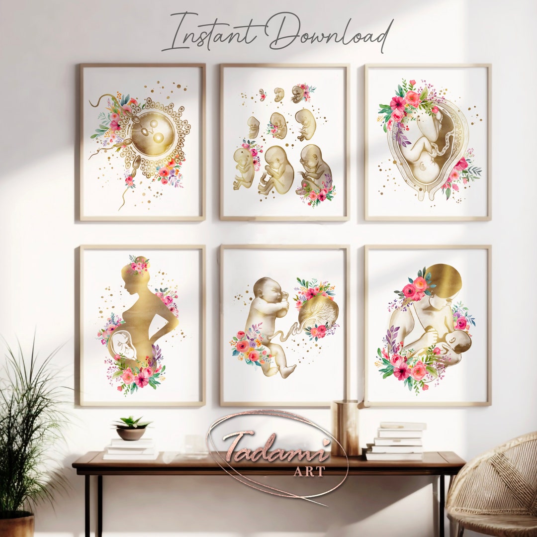 Fertilization Poster, OBGYN Wall Art, Gynecologist Gift, Obstetrics ...