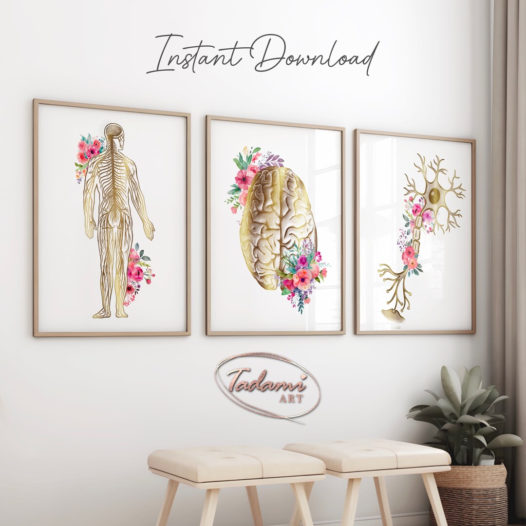 Neurology Poster, Medical Art, Brain Anatomy Print, Nervous System Art ...