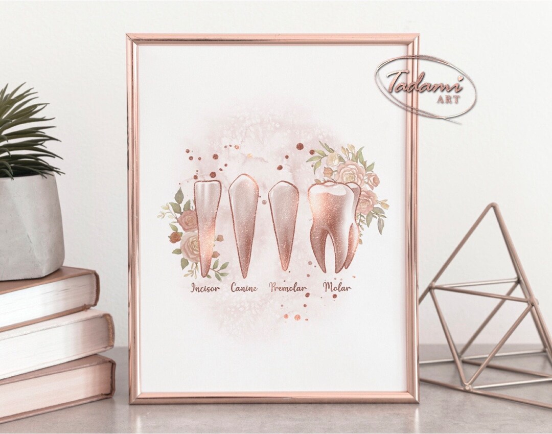 Tooth Types Poster, Anatomy Teeth Wall Art, Dental Print, Dentistry ...