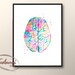 Neurological Art Brain Anatomy Print Nervous System Art - Etsy