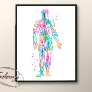 Neurology Wall Art, Brain Anatomy Print, Nervous System Art, Neuron ...