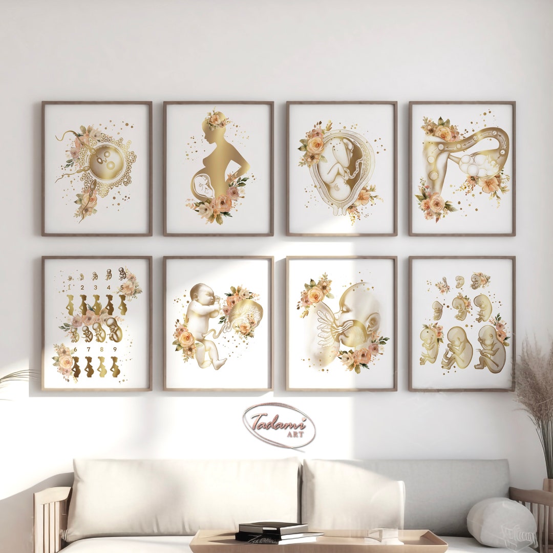 Pregnancy Poster, OBGYN Wall Art, Gynecology Poster, Fetus Stages Art ...